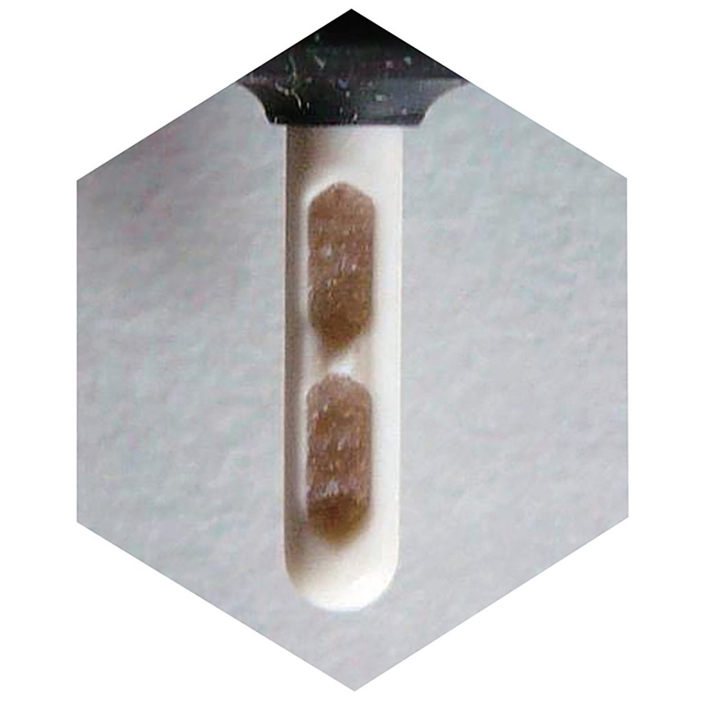 Getting a FIT Sample - Faecal Immunochemical Test